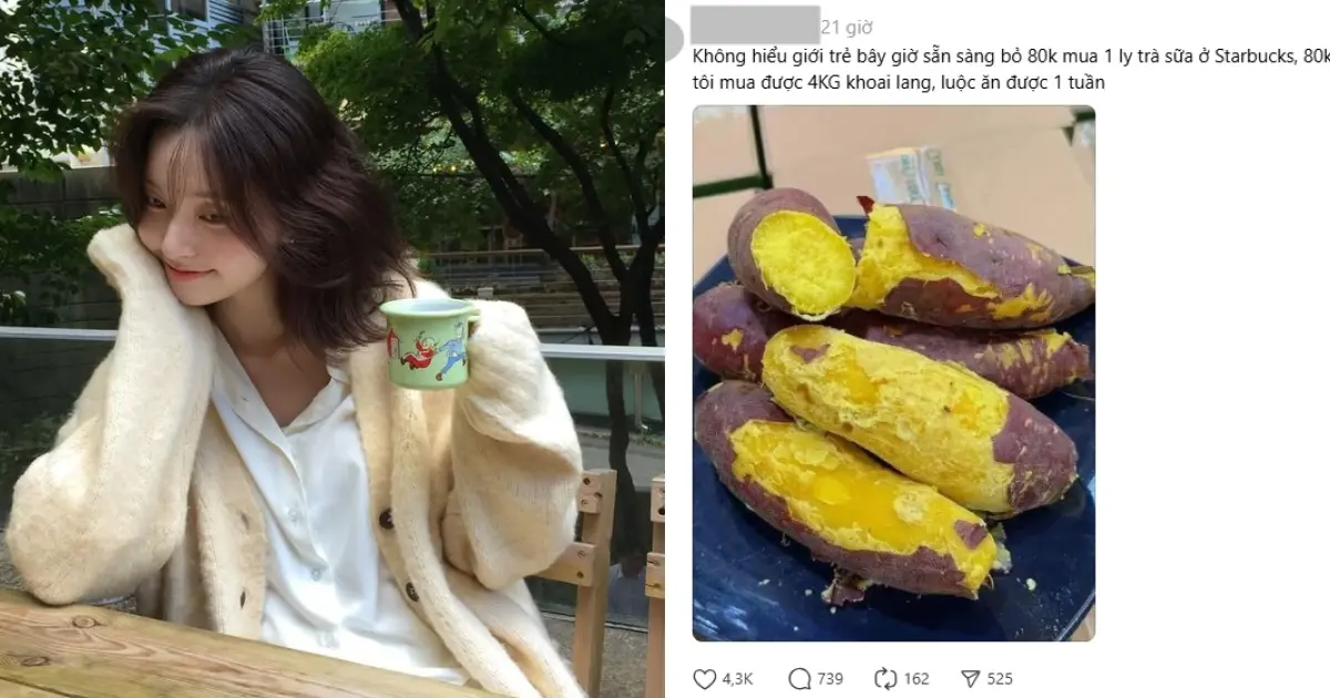 So sánh 1 ly trà sữa ở Starbucks với 4kg khoai lang: màn đáp trả được đồng tình gấp 3 lần bài ...