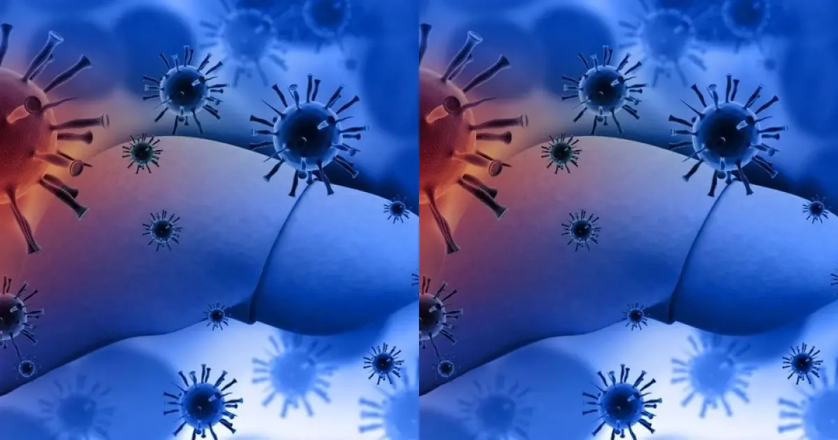 Thêm liệu pháp điều trị virus viêm gan C cấp tính - Sức khỏe - Việt Giải Trí